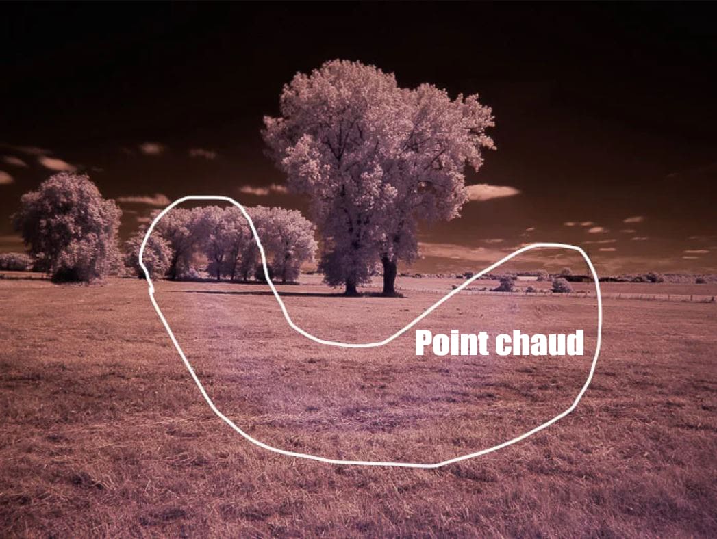 Photo Infrarouge : Guide Complet des Techniques pour des Images Uniques ...