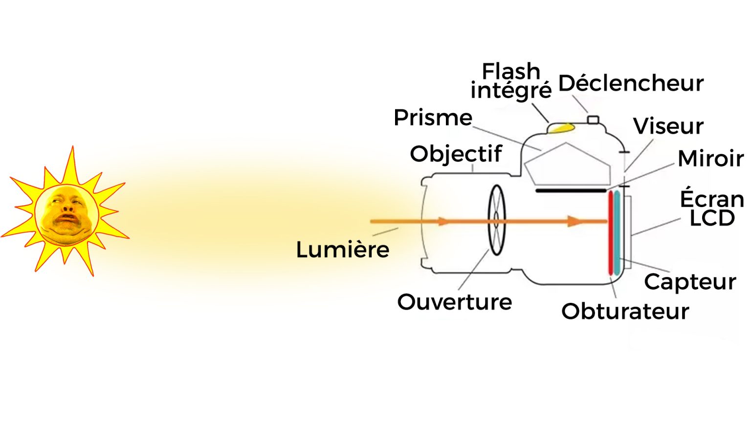 Capteur Photo : Guide Complet pour Comprendre Son Fonctionnement et Son ...