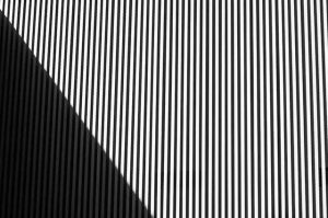 Le Rythme en Photographie : Comment Dynamiser Vos Compositions ...