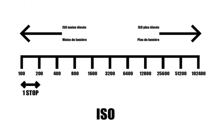 ISO en Photographie : Comment Obtenir des Images Nettes et Bien Exposées